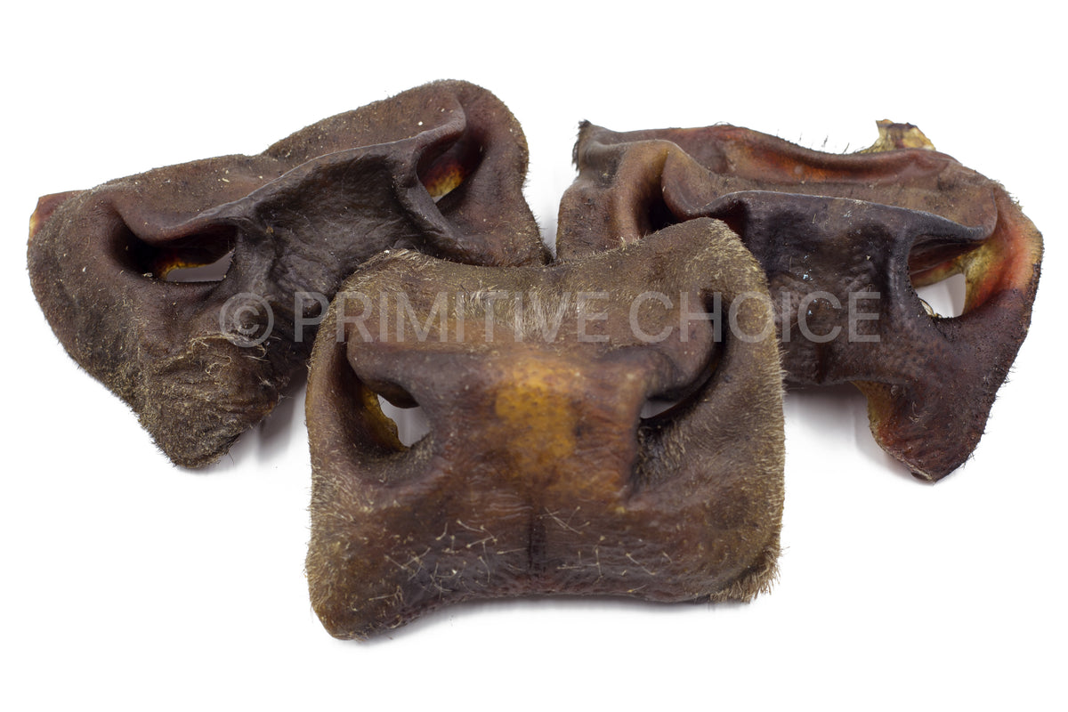 Beef Nose - Dehydrated – Primitive Choice
