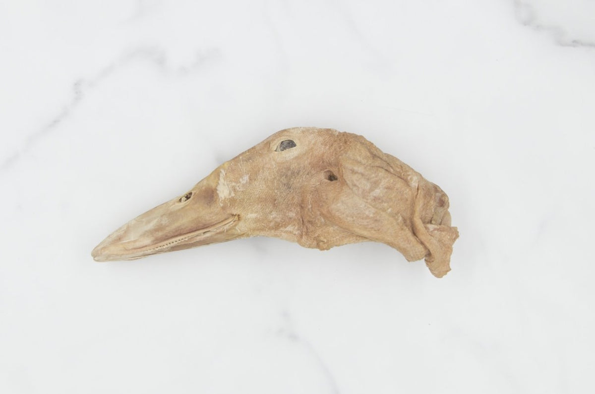 Duck Head - Freeze Dried – Primitive Choice